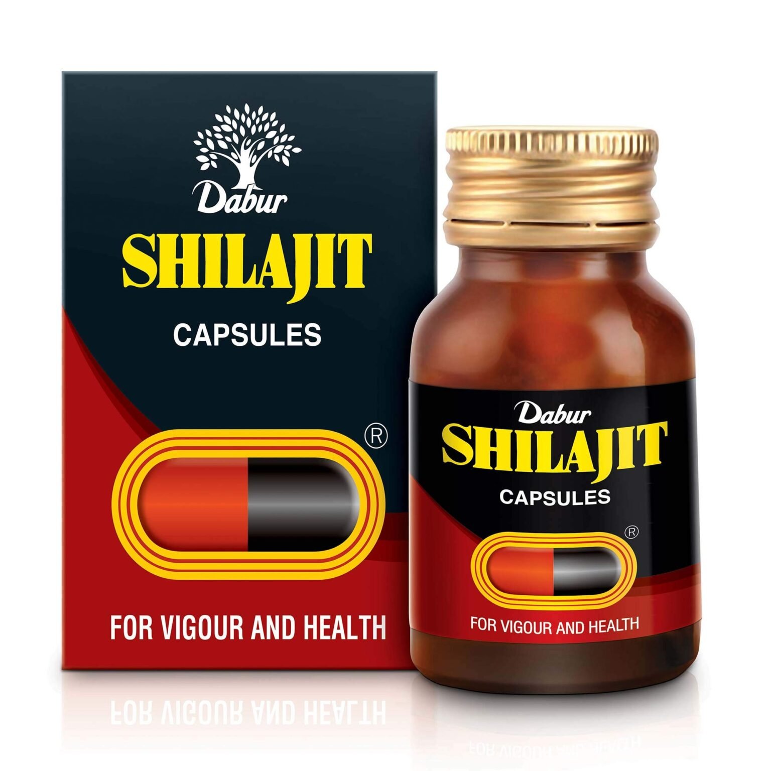 Shilajit Capsule 30s – Palakkadchettiar